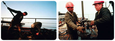 Offshore Oil & Gas - Offshore Oil & Gas Exploration, Drilling ...